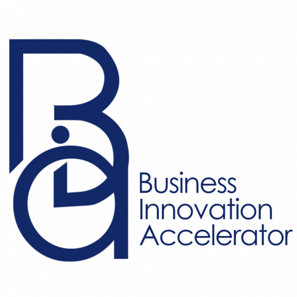 Accelerator Programme - Business Innovation Accelerator